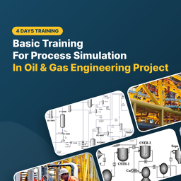 Basic Training For Plant Design Simulation